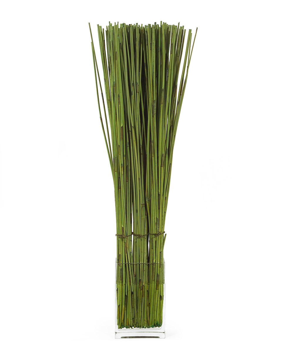 John Richard JRB-1746W Elephant Reed 37 X 14 inch Sculpture